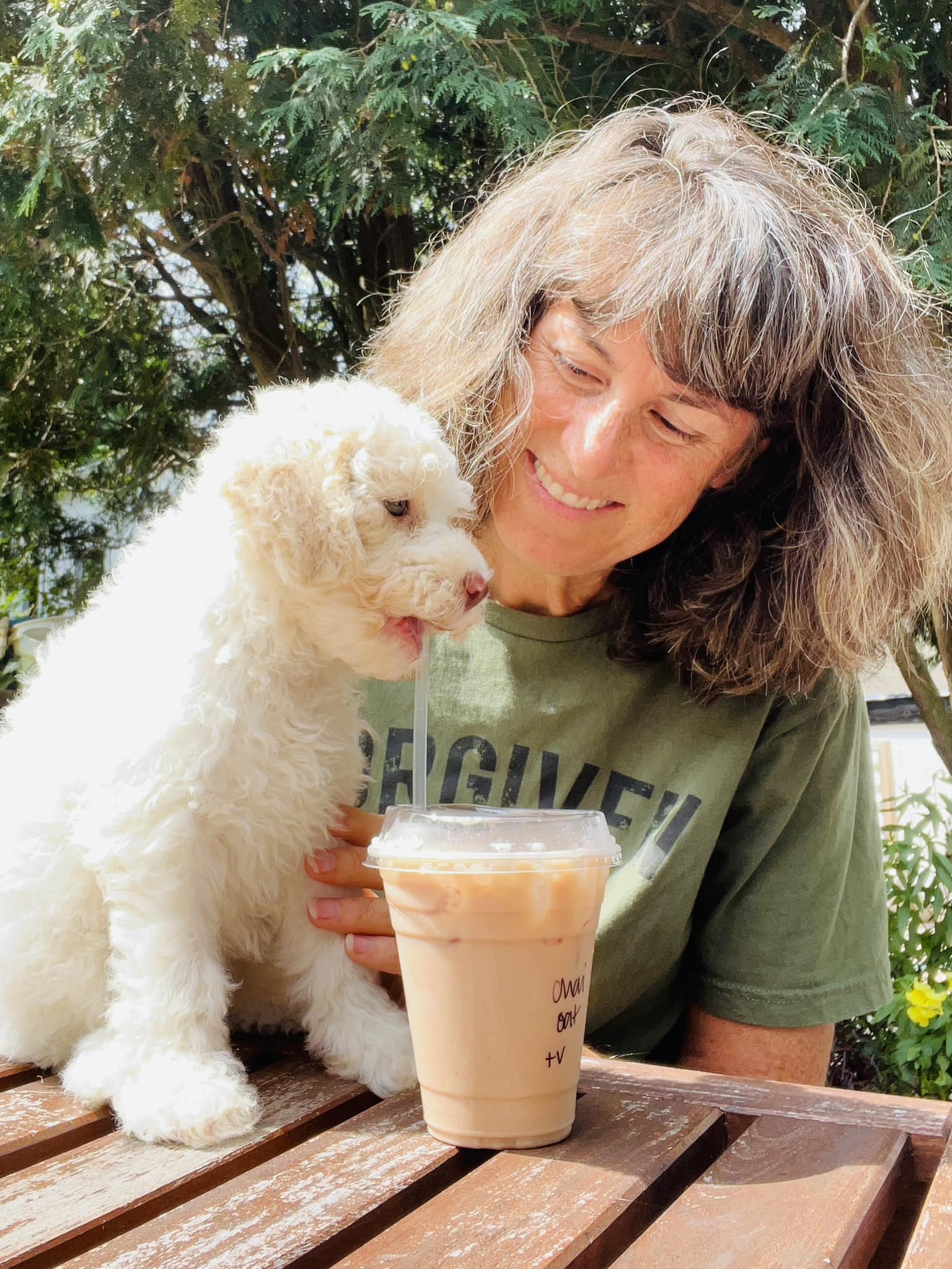 Our Breeding Program – Shooting Star Lagotto Romagnolo